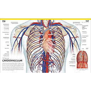 El gran libro del cuerpo humano (The Complete Human Body): Segunda edición. Ampliada y actualizada (DK Human Body Guides) (Spanish Edition)