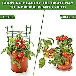 Tomato Cage for Pots 36 inch 4 Pack Garden Plant Support Tomatoes Trellis Cages with 4 Stakes & 5 Adjustable Rings for Cherry Tomato Vegetables Cucumber Climbing Plants Flower Rose Indoor Outdoor