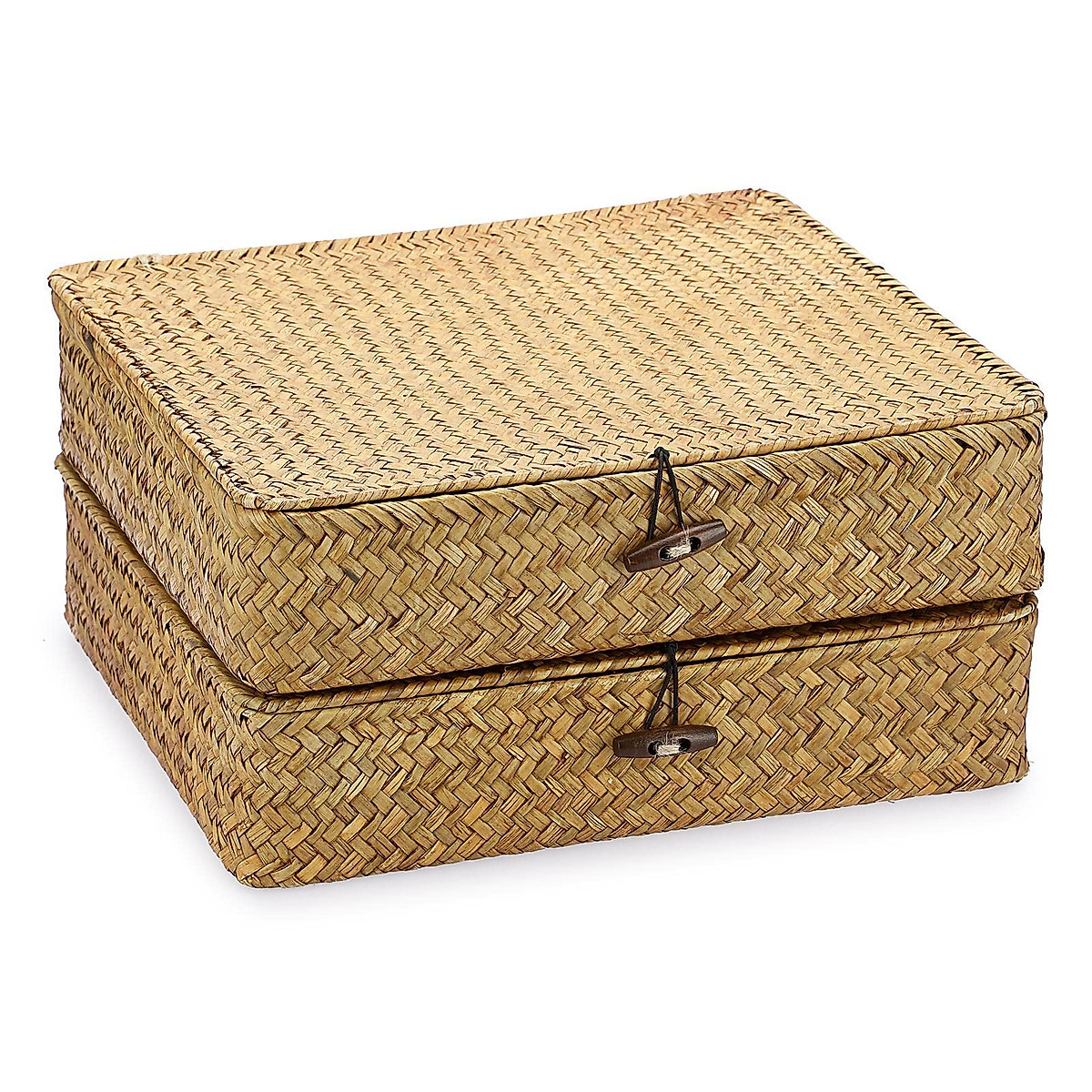 BTSKY 2 Pack Wicker Baskets With Lids Flat Woven Storage Bins for Shelf Organizing Natural Seagrass Storage Baskets with Lids Home Utility Organizer Box for Home & Office Supplies, Caramel (Large)