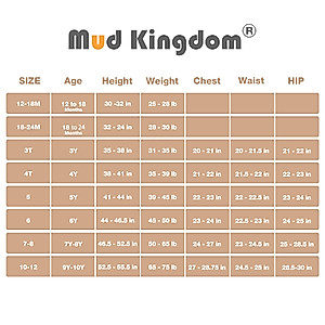 Mud Kingdom Toddler Boys T-Shirts Short Sleeve Rainbow Stripe 24 Months