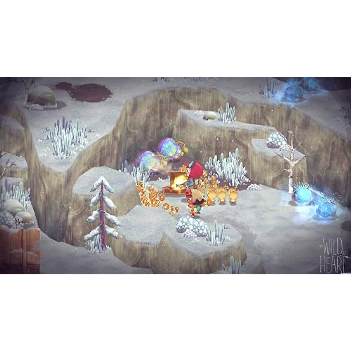 The Wild at Heart (Nintendo Switch)