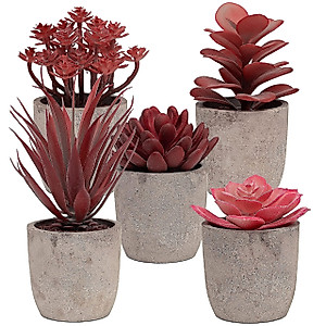 5 Small Fake Plants for Living Room Decor _ Realistic Mini Artificial Plants & Flowers, Potted Fake Plants Bedroom Aesthetic Bathroom Shelf or Indoor Home Office Desk Faux Succulent Plants Pot Bulk