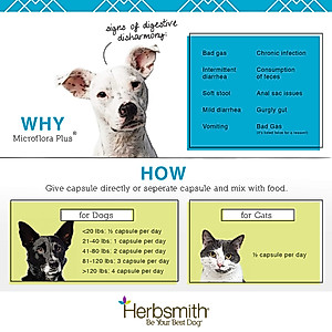 Herbsmith Microflora Plus – 4-in-1 Complete Cat Digestive Aid – Cat Prebiotics and Probiotics – Cat Probiotics for Diarrhea - 30 Capsules