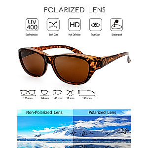 The Fresh High Definition Polarized Wrap Around Sunglasses for Wide Prescription Glasses 64mm Gift Box (F304-Tortoise, Brown)