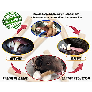 BENRIKIDS Real Coffee Wood Dog Chew, Long Lasting, Durable Chewable Stick and Dog Toy, Wood Chew Toy for Dogs, Dental Care & Chewing Muscle Training Coffee Wood Stick for Dogs, 1Pc Size M