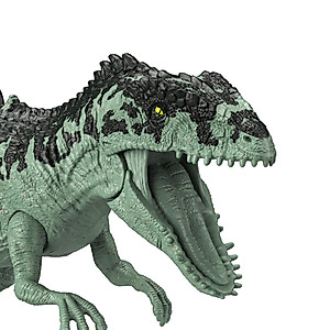 Jurassic World 12-in Dinosaur Figure, Strike & Chomp Action, Sounds, Movable Joints, Great Gift for Ages 4 Years Old & Up