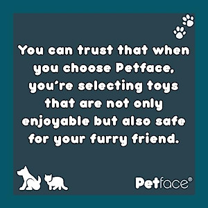 Petface Squeaky Rugby Tennis Ball