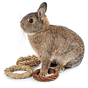 Niteangel 3-Pack of Natural Chew Ring for Small Animals