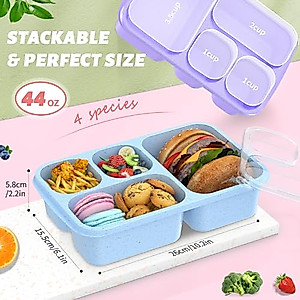XGXN Bento Lunch Box Set - 4 Meal Prep Containers for Kids & Adults, Thickened and Easy-to-clean Lunch Box Containers, Stackable, Microwave Safe, BPA-Free (Wheat(Purple/Green/Blue/Orange))