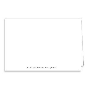 Guajolote Prints Thank You Notes 12 Cards & Envelopes Funny Sir Lancelot for Knight Themed Party