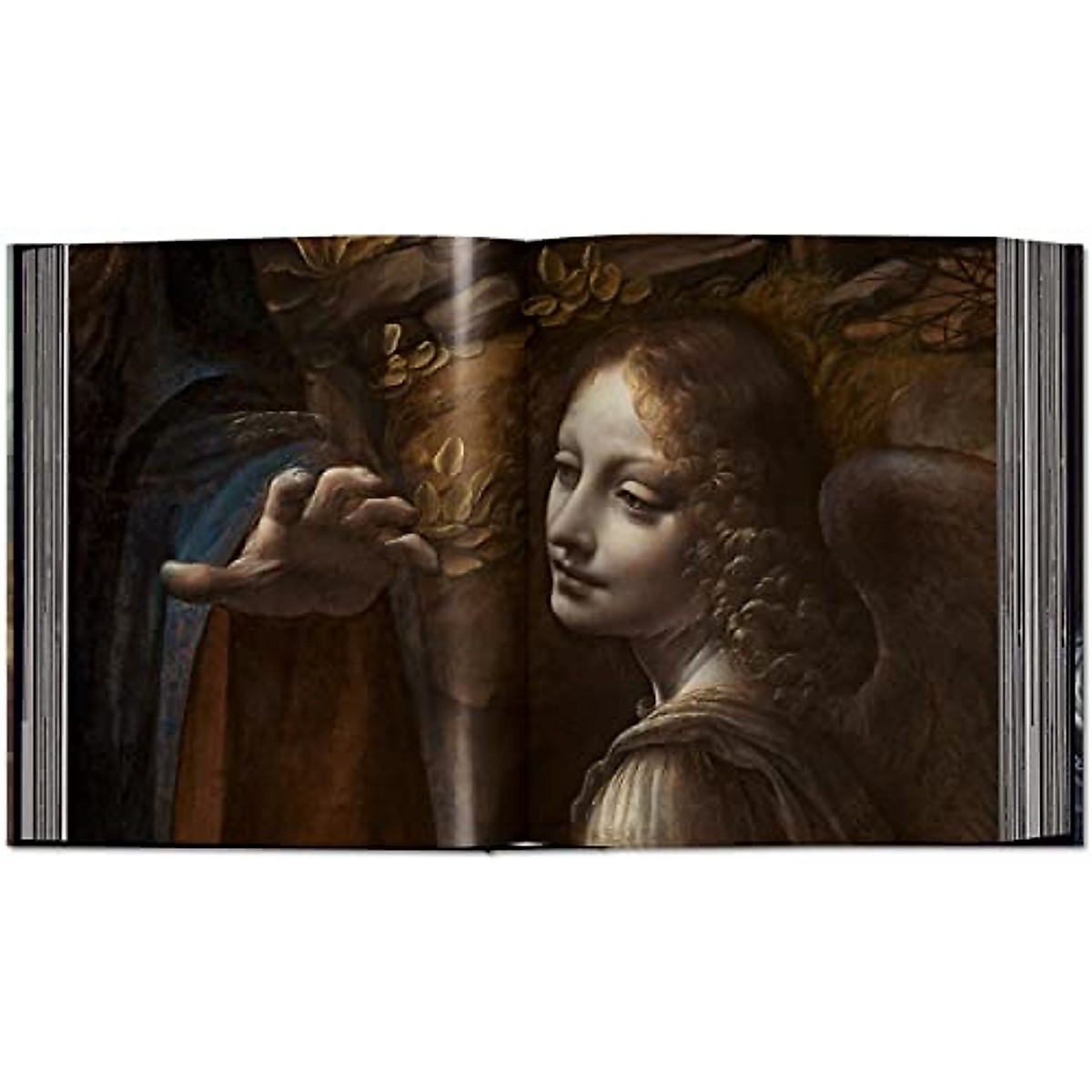 Leonardo da Vinci, 1452-1519: The Complete Paintings and Drawings