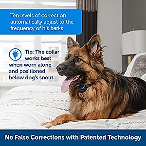 PetSafe Audible Bark Dog Collar, Humanely Stop Barking, Alternative to Static Shock No Bark Collar, 10 Levels of Safe Correction – for Small, Medium & Large Dogs Over 8 lb, Rechargeable & Waterproof