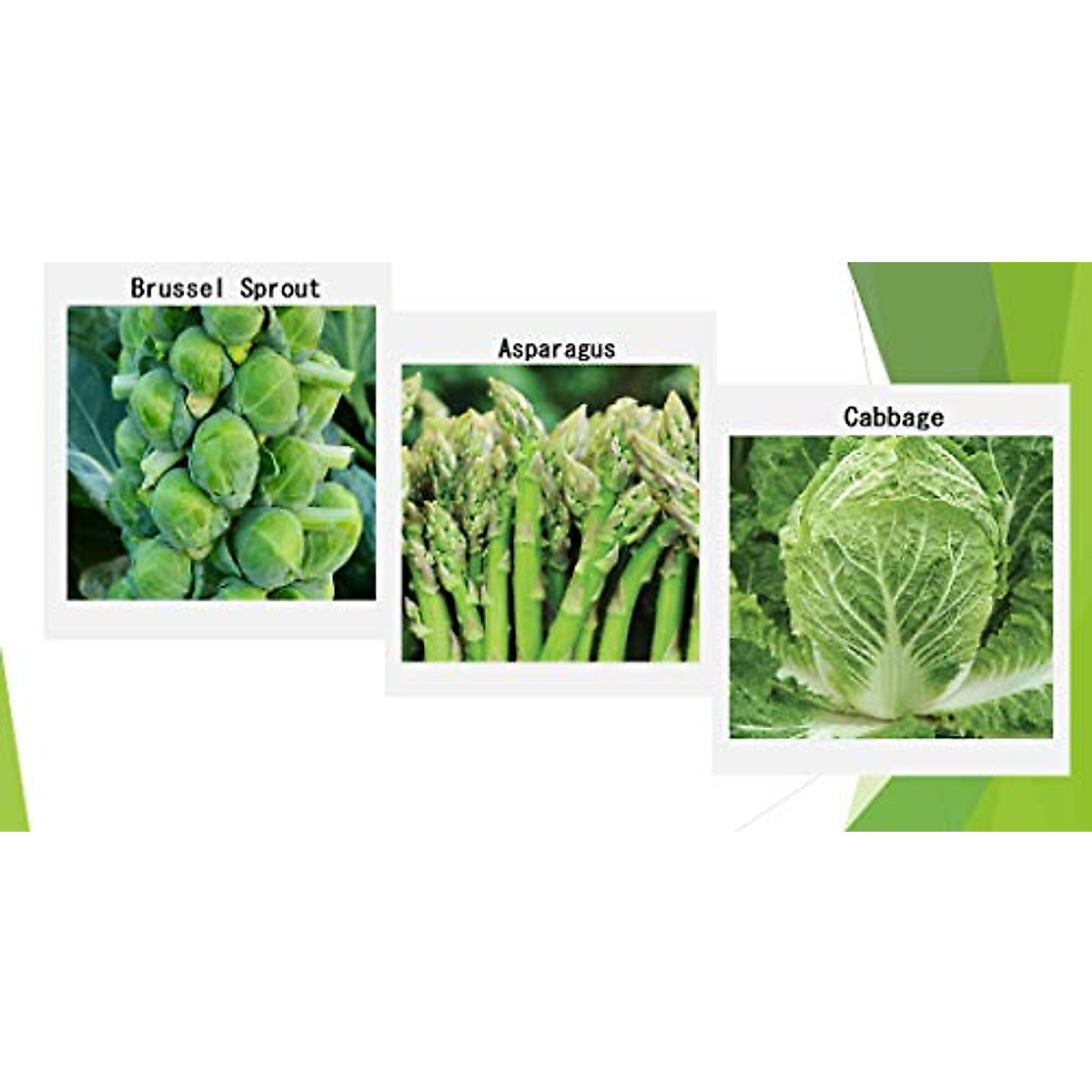 Premium Winter Vegetable Seeds for Planting Organic Non-GMO Heirloom Seeds 12 Varieties: Radish, Pea, Broccoli, Beet, Carrot, Cauliflower, Green Bean, Kale, Arugula, Cabbage, Asparagus, Brussel Sprout