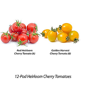 AeroGarden Red & Golden Cherry Tomato Seed Pod Kit (12-pod)