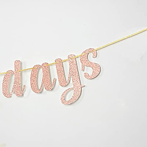 Rose Gold Happy 100 Days Banner, Kid's 100 Days Celebration,100th Day of School - Happy 100 Days Decorations - 100 Days Theme Party Decoration