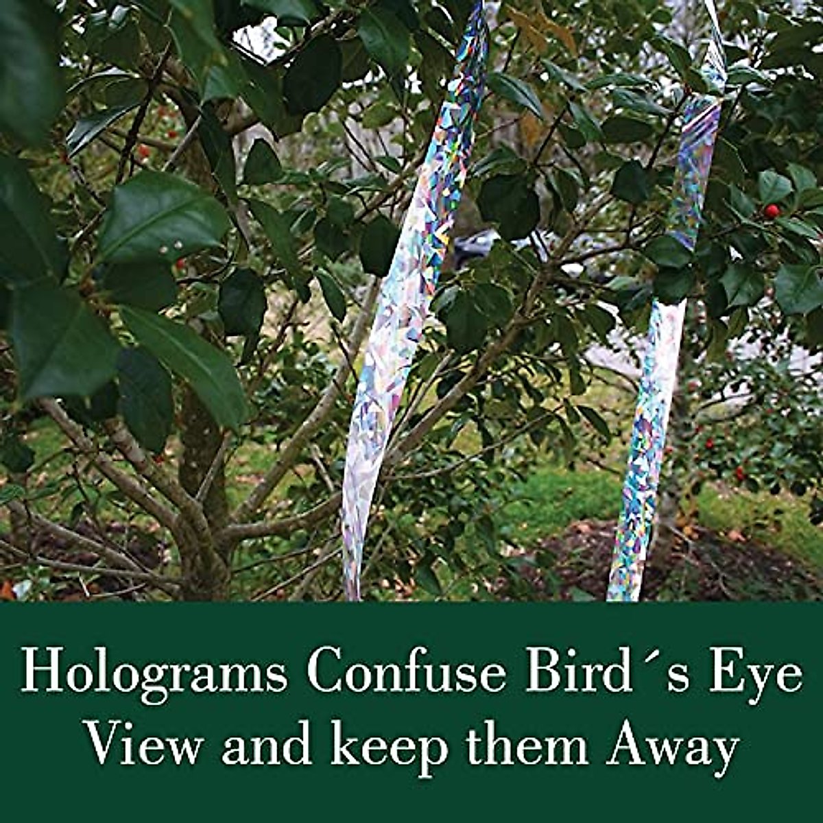 DALEN Holographic Scare Reflective Tape – Bird Deterrent Tape with Metallic Noise Feature, Broad Application and Easy to Use Bird Scare Ribbon (3/4" x 100') - 1 Roll