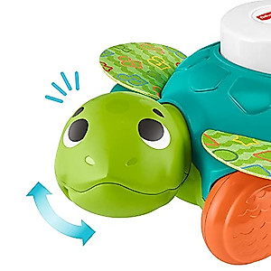 Fisher-Price Linkimals Sit-to-Crawl Sea Turtle - UK English Edition, Light-up Musical Crawling Toy for Baby