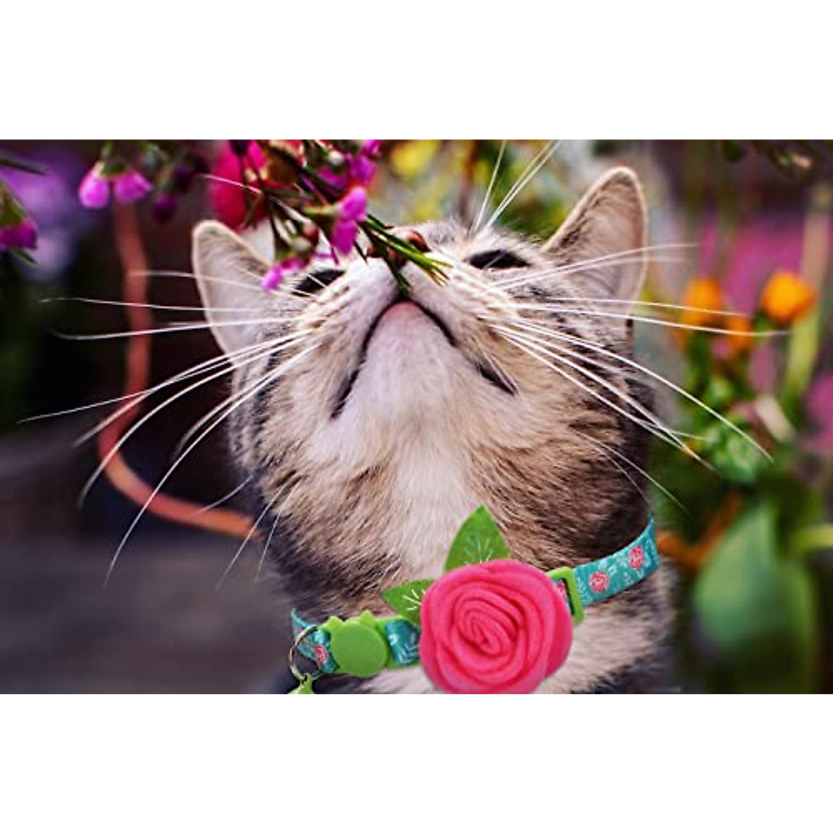 Spring Cat Collar, Floral Kitten Collar Breakaway, Flower Dog Collar for Small Dogs Female