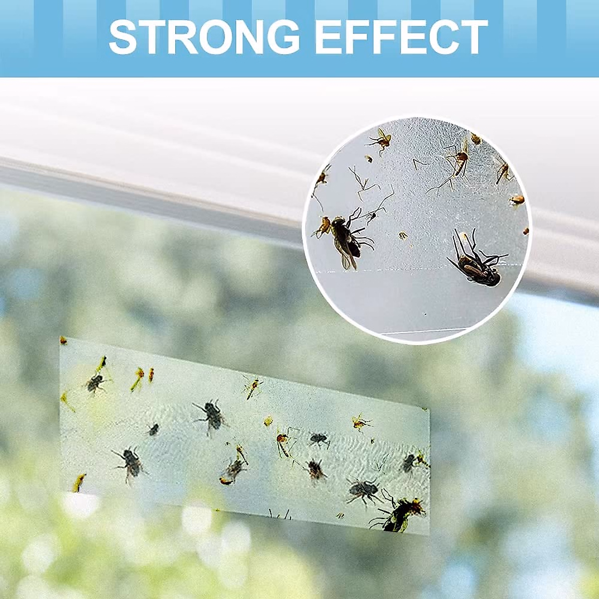 30 Pcs Window Fly Traps for Indoor, Fly Paper Sticky Strips, Fly Catcher Clear Windows Trap for Home, House Fly Killer Lady Bug Traps Indoor