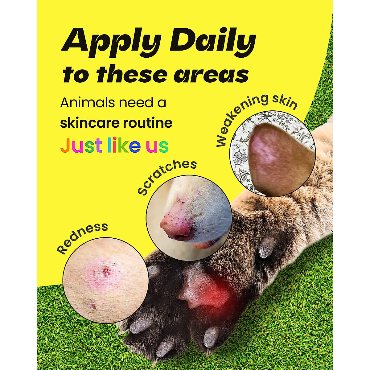 SUNNY SIDE UP Dog Cat Paw Moisturizer Yellow Centella Salve | Dog Lotion for Dry Itchy Skin & Cracked Paws | Cat Itchy Skin Allergy Relief | Cat & Dog Paw Balm for Skin Irritation (1.16 fl oz)