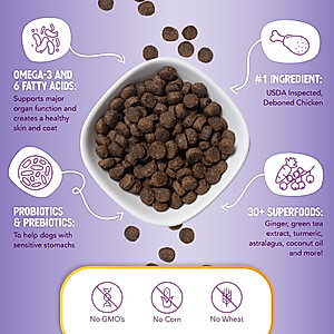 Health Extension Bundle - Wet Dog Food Chicken Recipe (12.5oz Single Can), Dry Dog Food Chicken & Brown Rice Recipe (4 lbs) - High-Protein, A Tasty and Healthy Alternative for Your Dog