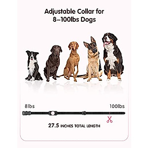 PATPET Dog Training Collar with Remote(8-100 lbs), Rechargeable Shock Collar for Medium Dogs, Up to 1000 ft Remote Range IPX7 Waterproof Dog Shock Collar