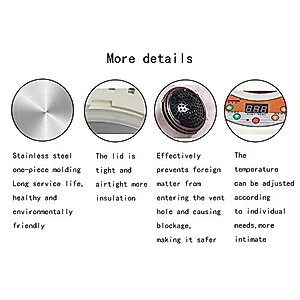 Smartmak Portable Sauna Steamer, 2L 900W Stainless Steel Generator, with Remote Control, Home Spa Machine for Body Detox (US Plug)