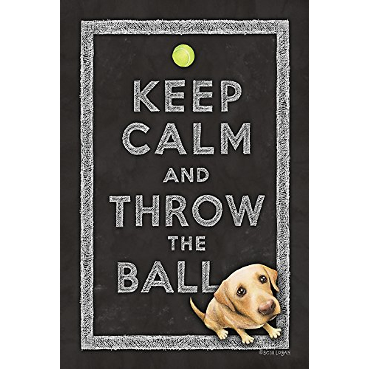Toland Home Garden 119782 Keep Calm And Throw The Ball Dog Flag 12x18 Inch Double Sided Dog Garden Flag for Outdoor House Puppy Flag Yard Decoration