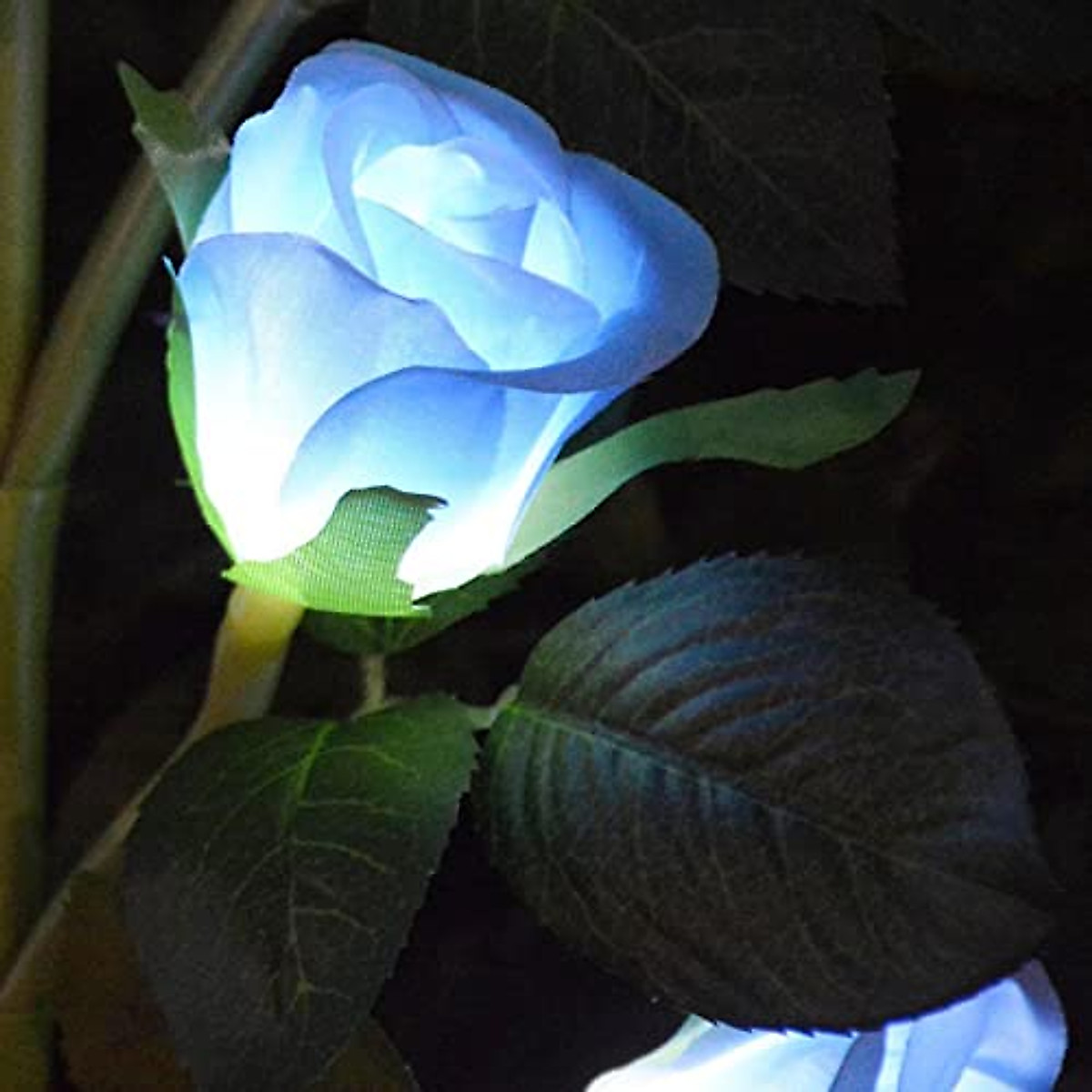 Chasgo Blue Rose Flower Lights Solar Garden Stake Lights with 7 LED Rose Lights Outdoor Waterproof Solar Decorative Lights for Garden Yard Lawn Memorial Cemetery Decoration