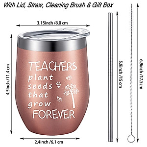 2 Pack Teacher Appreciation Gifts for Women, Novelty Birthday Thank You Gift Graduation Gift for Teachers, Teachers Plant Seeds That Grow Forever, Double Insulate Wine Tumbler 12 oz (Rose Gold, Mint)