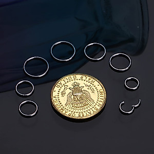 LOYALLOOK G23 Titanium Hinged Clicker Segment Nose Rings Hoop Septum Nose Lip Ring Hoop for Women Men Helix Cartilage Daith Tragus Sleeper Earrings Body Piercing Improved 16G Silver Tone