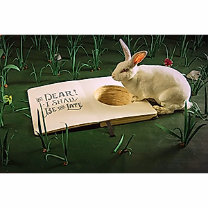 Moleskine Limited Edition Alice in Wonderland Notebook, Hard Cover, Pocket (3.5" x 5.5") Plain/Blank, Powder Blue, 192 Pages