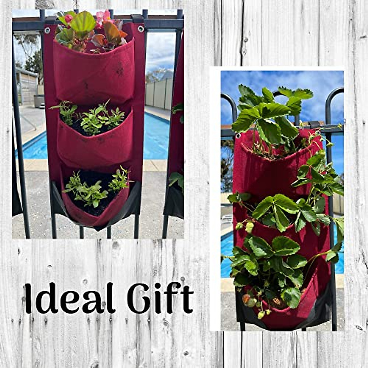 Vertical Wall Hanging Felt Fabric Planter Grow Bags/Hanging Garden Planter Kit Red Felt Waterproof Back 2 Pack x 3 Pocket for Indoor or Outdoor/Vegetable, Herb, Flower, Succulent or Seed Planter