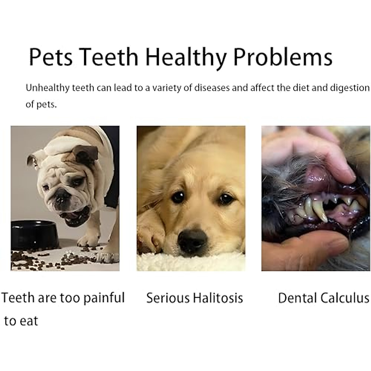 LINGXIYA Pet Dog Toothbrush, Extra Soft Dog & Cat Toothbrushes Dental Cleaning Brushes for Puppy Small Dog and Cat Dogs Teeth Dental Health 2 Pack Kit (White/Green)