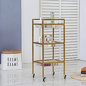 Utility Cart Lab Serving Cart, Medical Cart 3 Shelf Large Beauty Salon Trolley Cart Spa Storage Tray Therapy Dentist Hairdresser Treatments, Stainless Steel Tray Trolley,Care Dressing Medical Cart (C