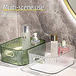 BIEDUM 2 Pack Open Compartment Clear Plastic Organizer, Rectangular Makeup and Vanity Storage Bin and Pantry Caddy with Pass-Through Handles for Bathroom Kitchen Refrigerator Organizers and Storage