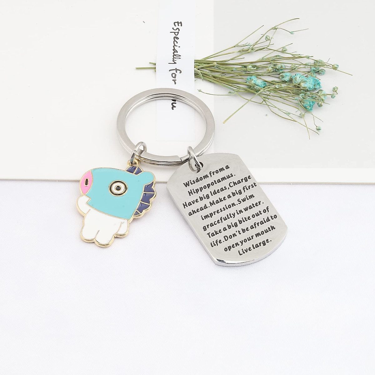 WSNANG Hippo Theme Gift Wisdom From A Hippopotamus Keychain Hippo Lover Gift Hippo Jewelry Gift (Wisdom Hippo KC)
