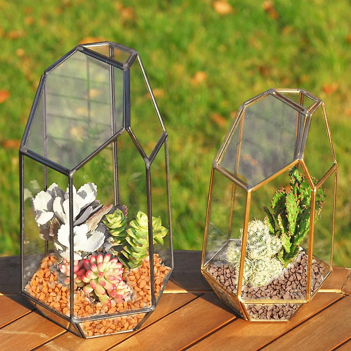 HappyFiller 1.6 LB Orange Gravels Decorative Terrarium 2-5mm Stones,Plants Topper Dressing,Bonsai Succulent Plants Soil Cover, Zen Fairy Garden,Grow Media Decor Cultivation Hydroponic Pebbles