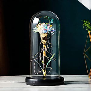 Glass Rose Flower Gifts Galaxy Light Up Rose with Led Light String for Women Birthday Flowers Gifts for Women Mom Preserved Roses Flowers for Delivery Prime for Mothers Day Christmas (Rainbow)