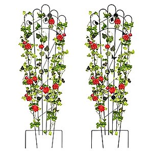 XYADX Meta Detachable Trapezoidal Garden Trellis for Climbing Plants 60 Inches Sturdy Black Patio Plant Support for Indoor Plants Trellis for Rose, Vegetable Flower, Backyard Pack of 2 - Black