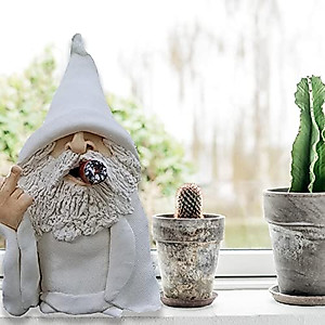 Funny Garden Gnome Statue, Middle Finger Smoking Wizard Gnome, 8.27 Inch Naughty Gnomes Garden Sculpture Decoration for Lawn Yard Balcony Porch Patio Home Outdoor Ornaments Christmas Decorations