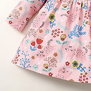 Toddler Girl Floral Cat Pink Dress Long Sleeve Baby Girl Cotton Fall Outfit(Cat/4T)