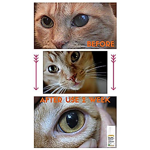 KARRYUNI X2 Pcs 10 ML, Best Pet Eye Drops Cataracts & People Exact Result, Safe & Gentle Formula, Promotes Eye Clarity & Dryness Eye in PPL Pets & All Animals Dogs, Cats Pet Care Eye Ointment Drops