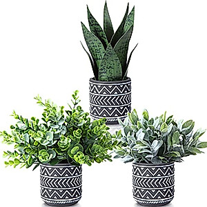 Kazeila 3 Pack Potted Fake Plants Artifical Snake Plant,Greenery Eucalyptus Leaves Plant and Flocked Sage Plant,Faux Desk Plants for Indoor Home Office Farmhouse Kitchen Bathroom Table Decor