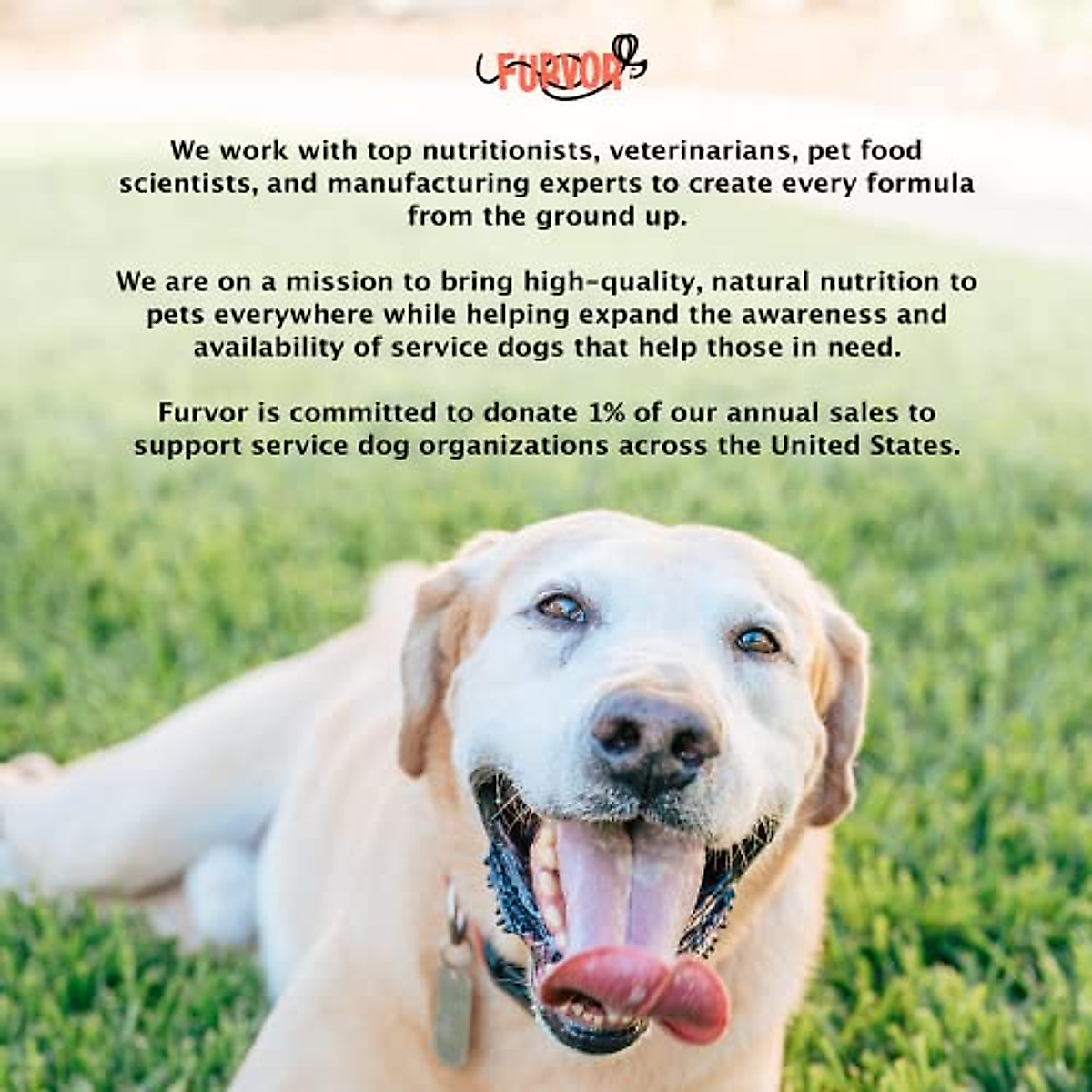 Furvor Beef Bone Broth for Dogs - Collagen Protein Supplement for Digestion, Mobility, Coat, Immune System, Healthy Dog Food Topper, Meal Boost Gravy, Grain Free, Made in USA 16 oz