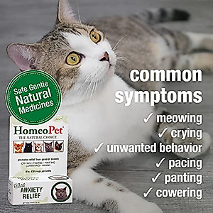 HomeoPet Feline Anxiety Relief, Stress and Anxiety Support for Cats, 15 Milliliters