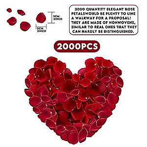 40 Pcs-Silver "Will you marry me" Balloon Pack -Proposal Balloon Banner and 2000 pcs Red Rose Petals proposal Decoration-proposal idea-Diamond ring Balloon-Valentine's Day Proposal (silver floral proposal)