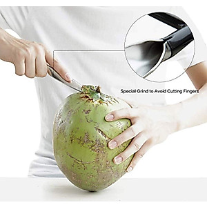 Coconut Opener Tool – Stainless Steel Coconut Meat Removal & Tap Opener Set – Practical & User-Friendly – Compatible with Peeled Thai Young White & Green Coconuts