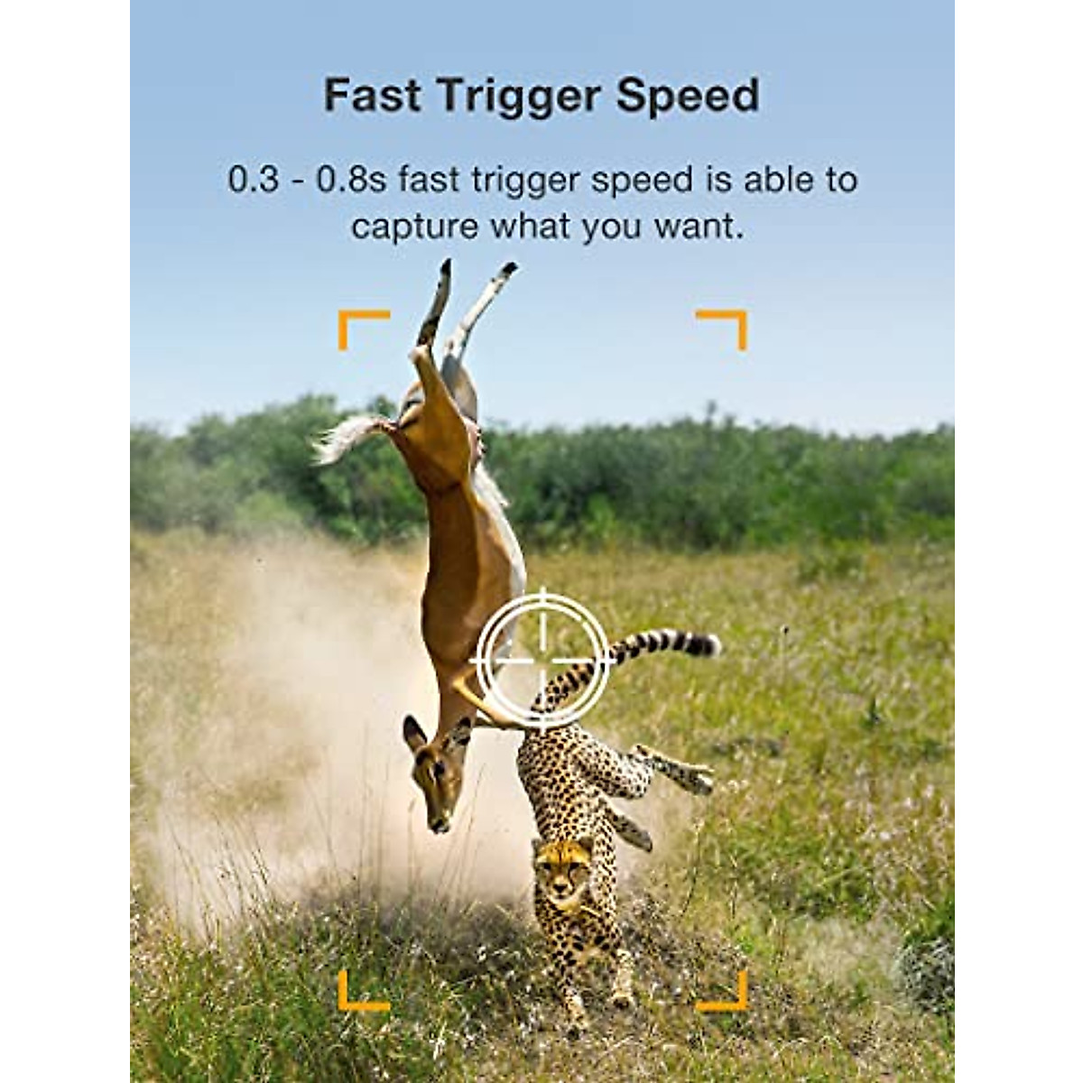 VOOPEAK 2 Pack Trail Camera - Game Camera 36MP 2K Motion Activated Trail Cam Scouting Hunting Cam Wildlife with 2.0 LCD Screen 120° Wide Angle Lens Night Vision Waterproof IP66