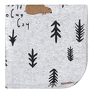 Gerber Baby 10-Pack Terry Washcloths, Bear Green, One Size